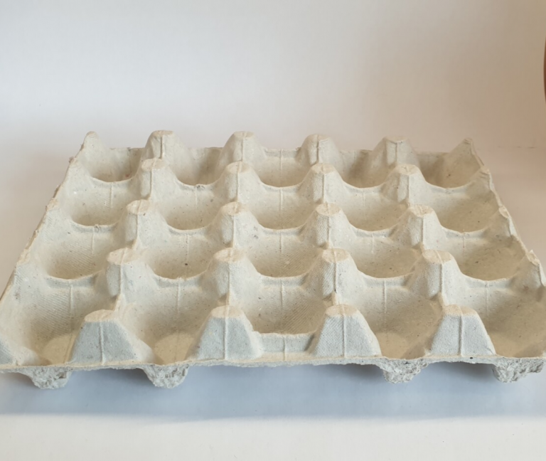 Insectenkweek eierdoos 5 stuks - Quality Ants